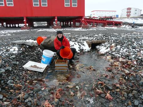 Dr. Emslie's Antarctic Blog 2010-11