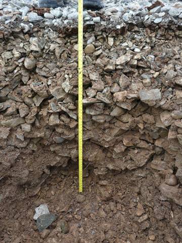 Dr. Emslie's Antarctic Blog 2010-11