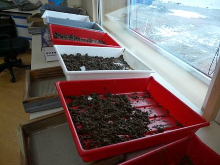 Dr. Emslie's Antarctic Blog 2010-11