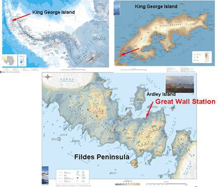 Dr. Emslie's Antarctic Blog 2010-11