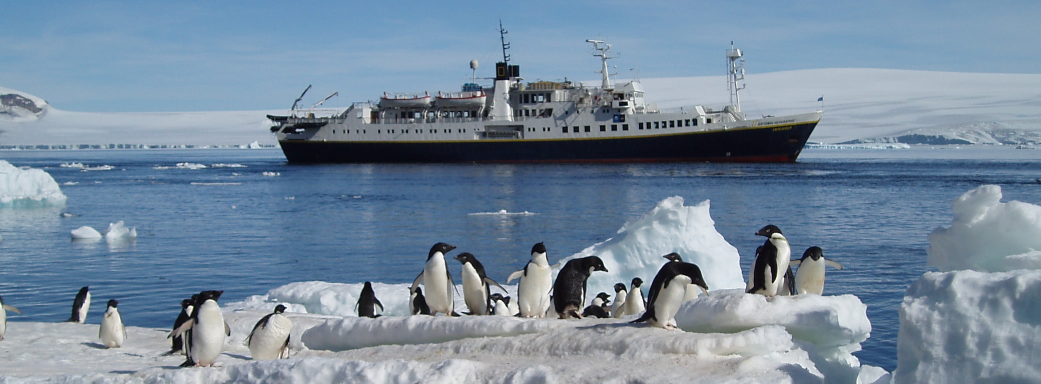 Dr. Emslie's Antarctic Blog 2010